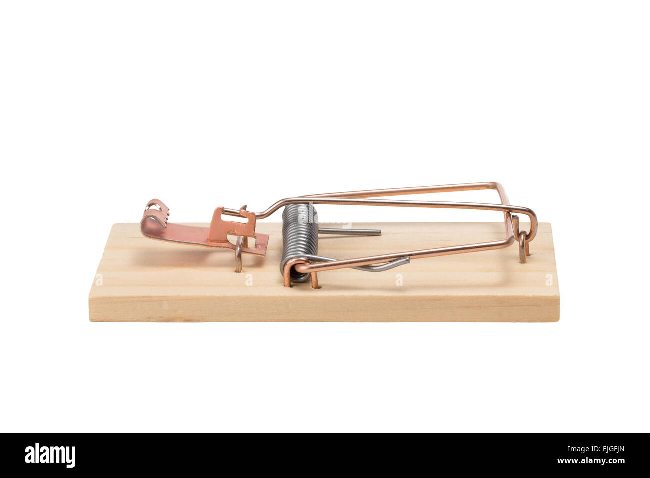 Classic spring mouse trap made with copper parts and a gray steel ...