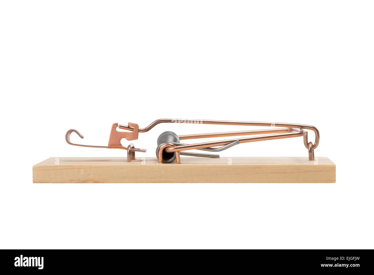 Classic spring mouse trap made with copper parts and a gray steel ...