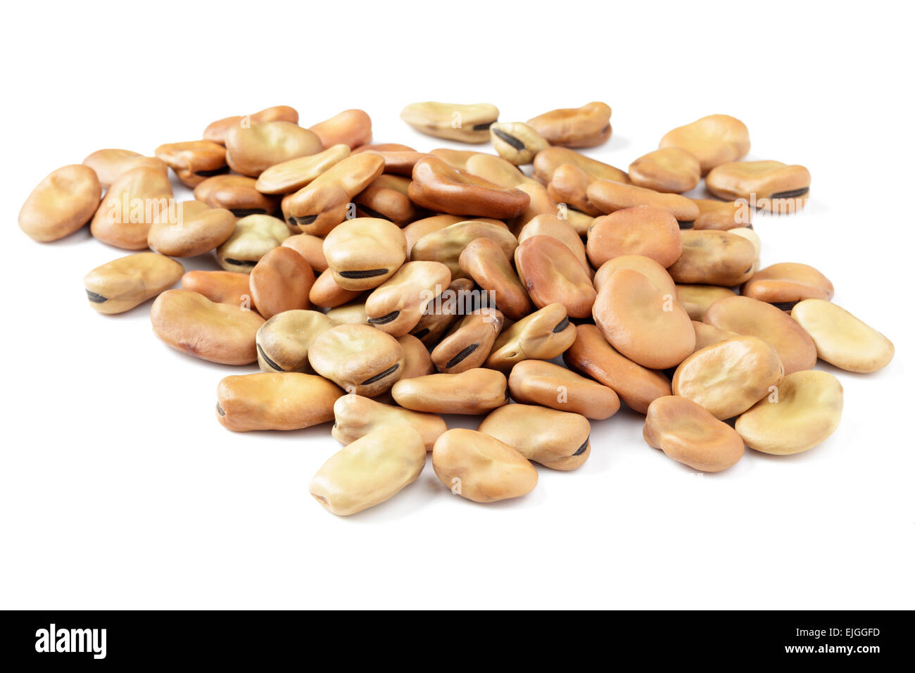 Broad bean vicia faba Cut Out Stock Images & Pictures - Alamy