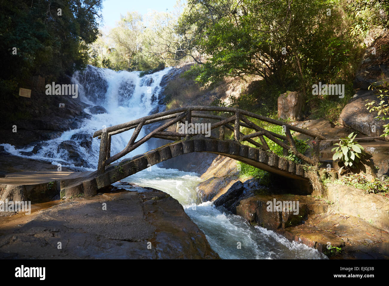 bridge of logs across a stream in a forest in Vietnam Stock Photo - Alamy