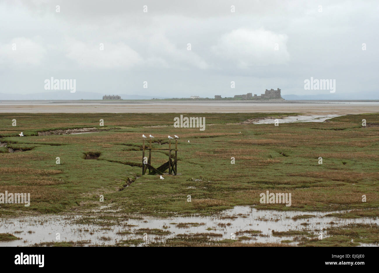 Piel Island off the Cumbrian coast showing the castle Stock Photo - Alamy