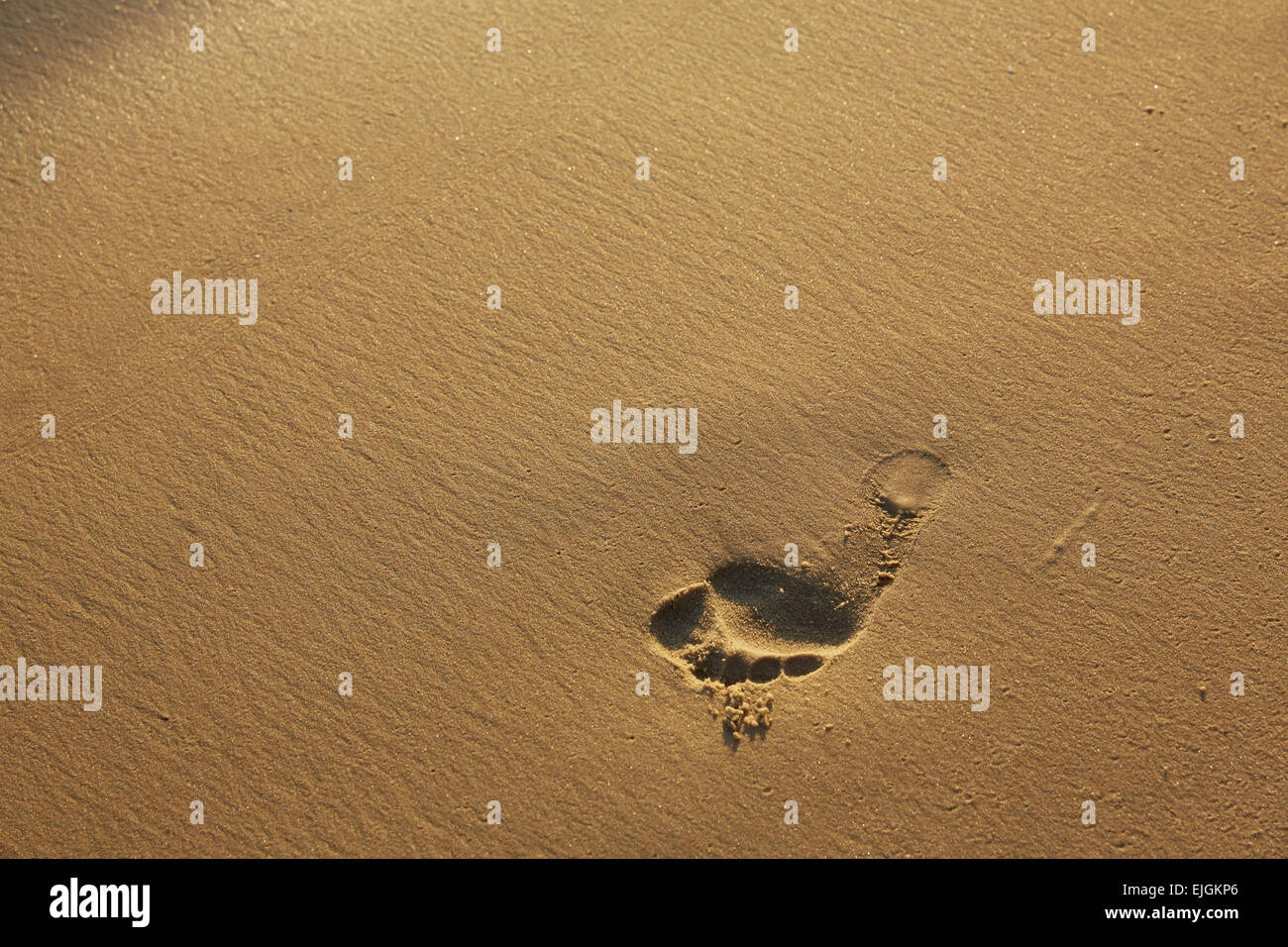 trace of a human foot on a sandy beach Stock Photo - Alamy