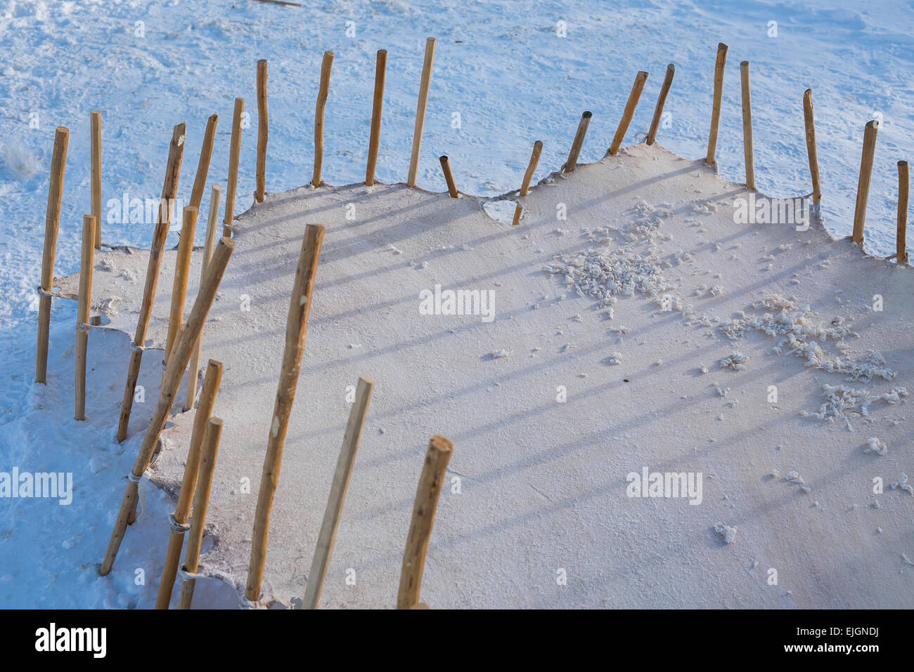 Hide trapper hi-res stock photography and images - Alamy