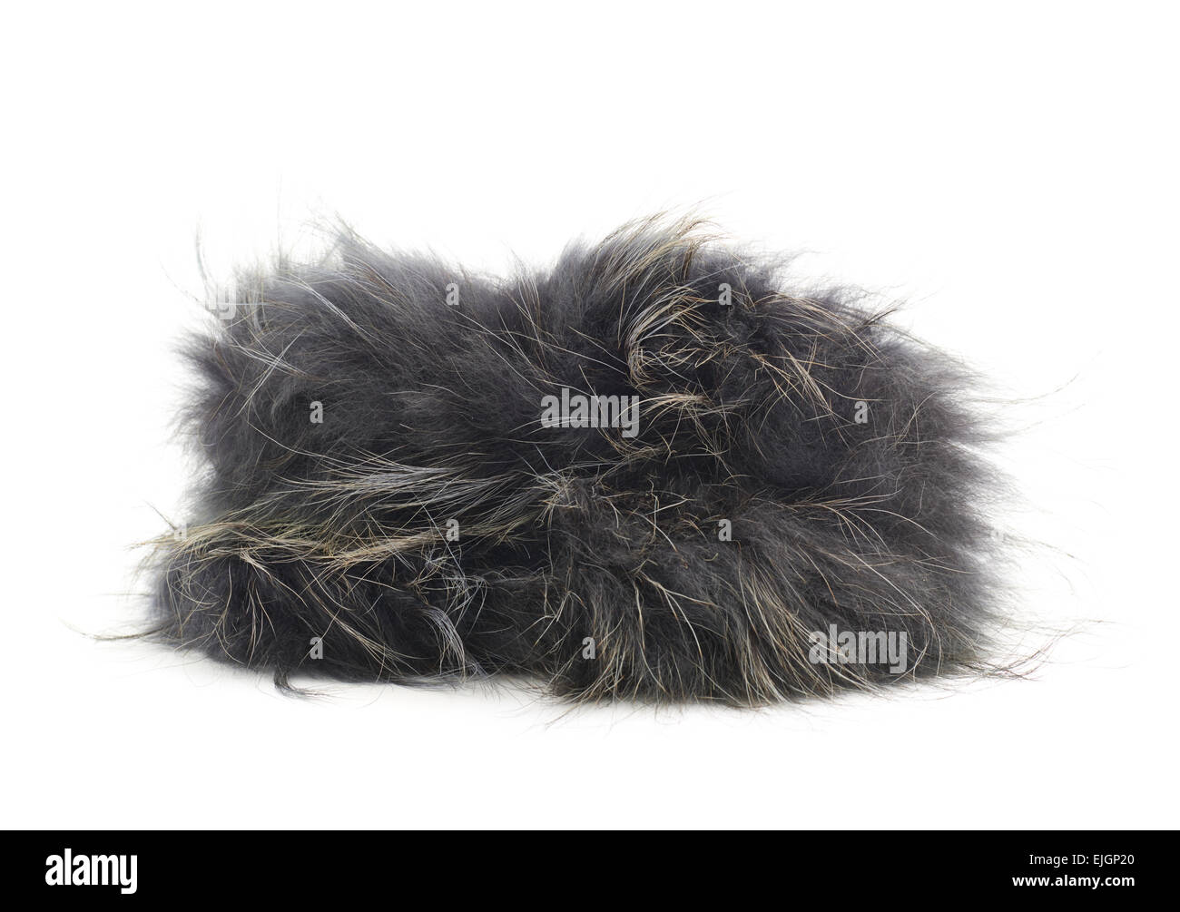 Fur hat isolated Stock Photo - Alamy
