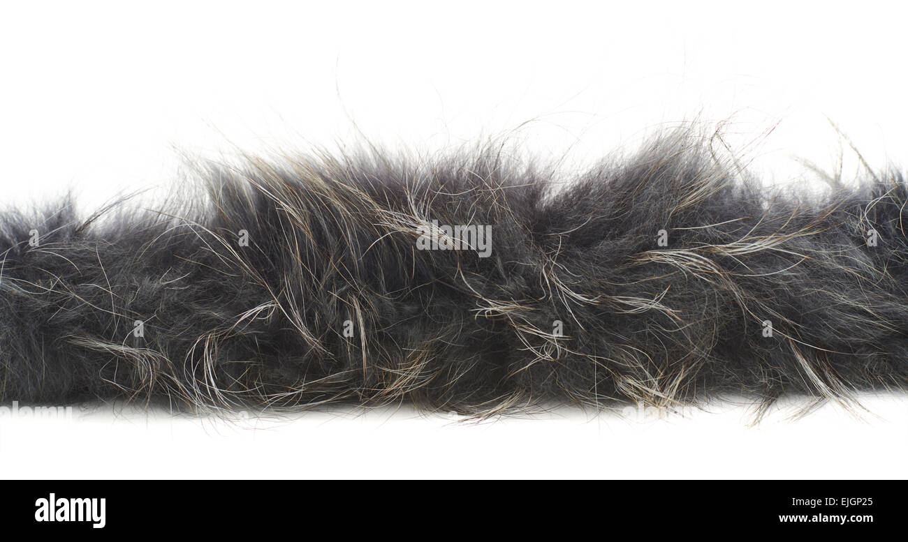 Strip of fur isolated Stock Photo - Alamy