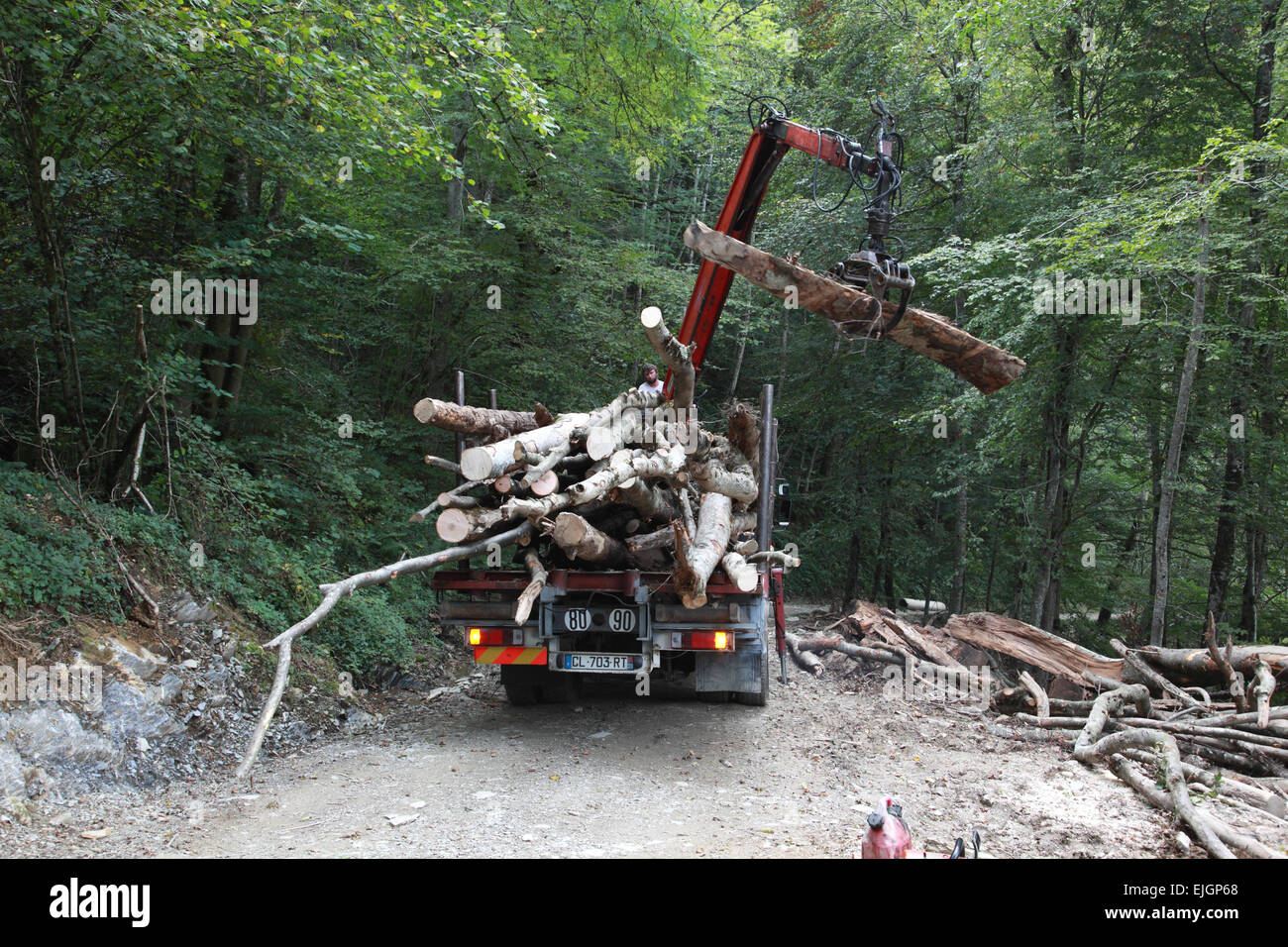 Truck hauling large tree hi-res stock photography and images - Alamy