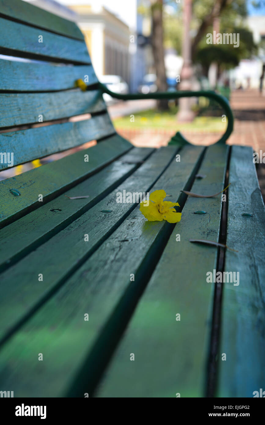 Green bench with yellow flower laying on it. San German, Puerto Rico ...
