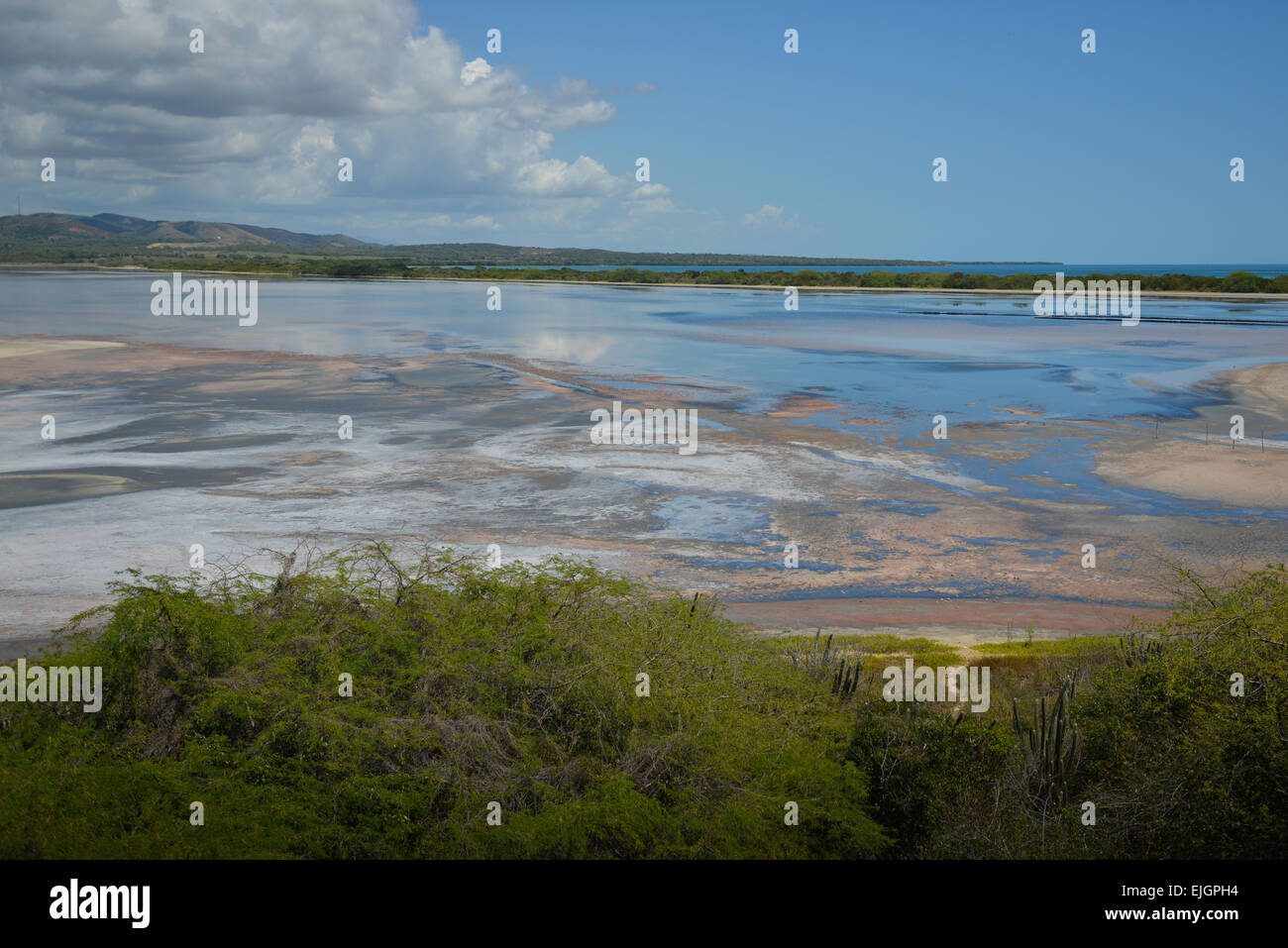 Salt flats view from the observation tower at Cabo Rojo. Puerto Rico ...