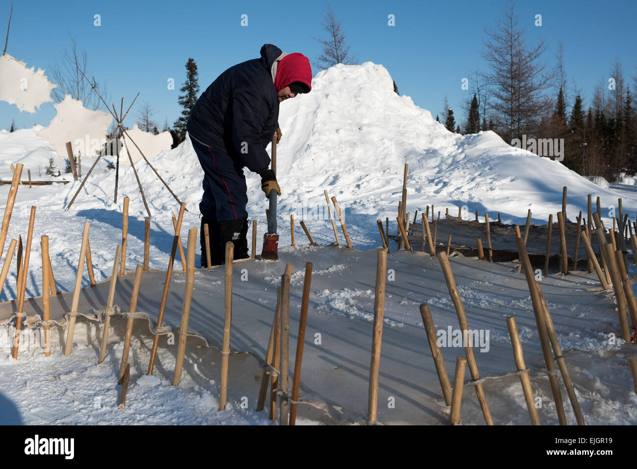 Indigenous Cree man Scraping moose hide Northern James Bay Quebec ...