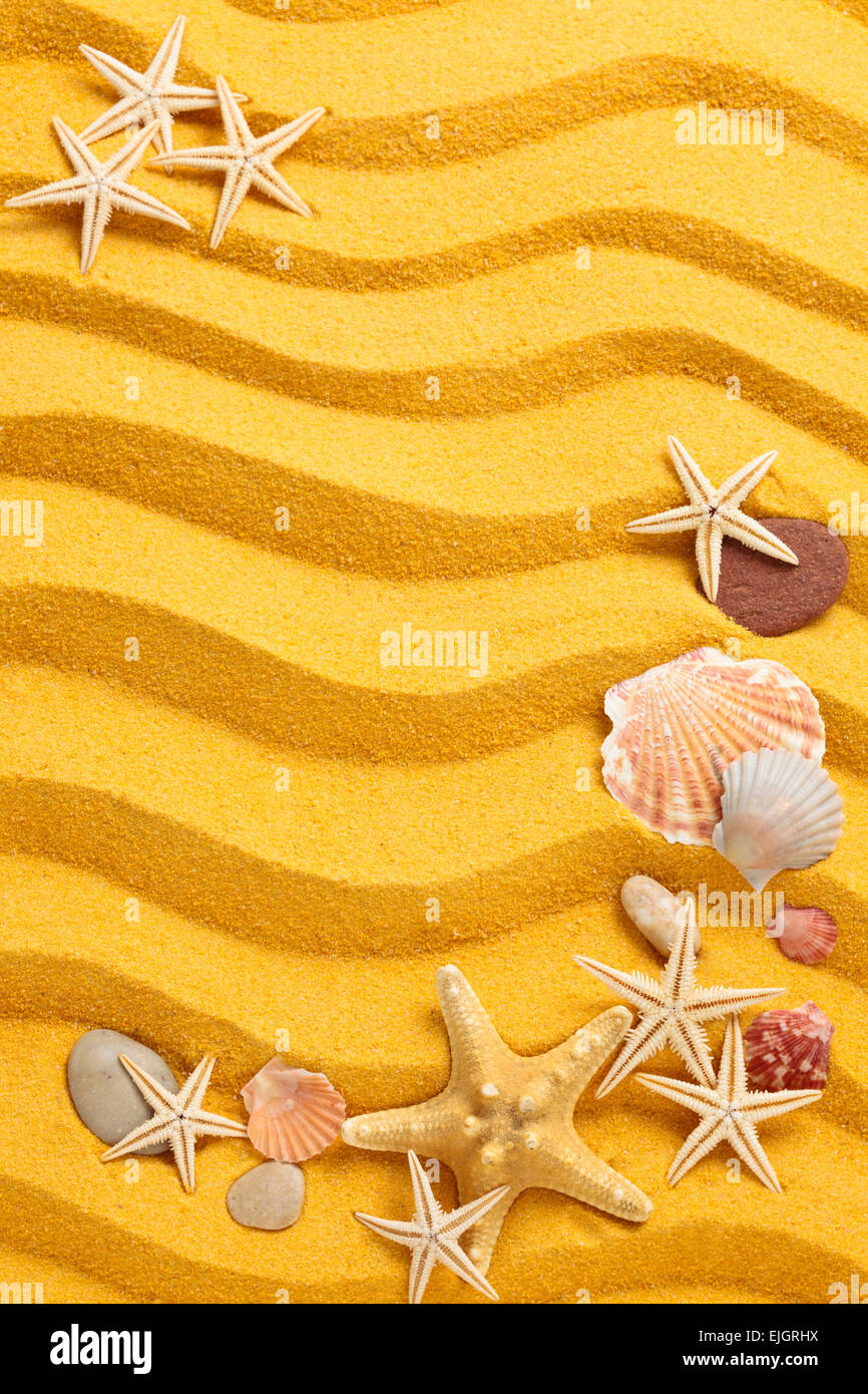 Background of yellow sand, shells and starfishes Stock Photo - Alamy