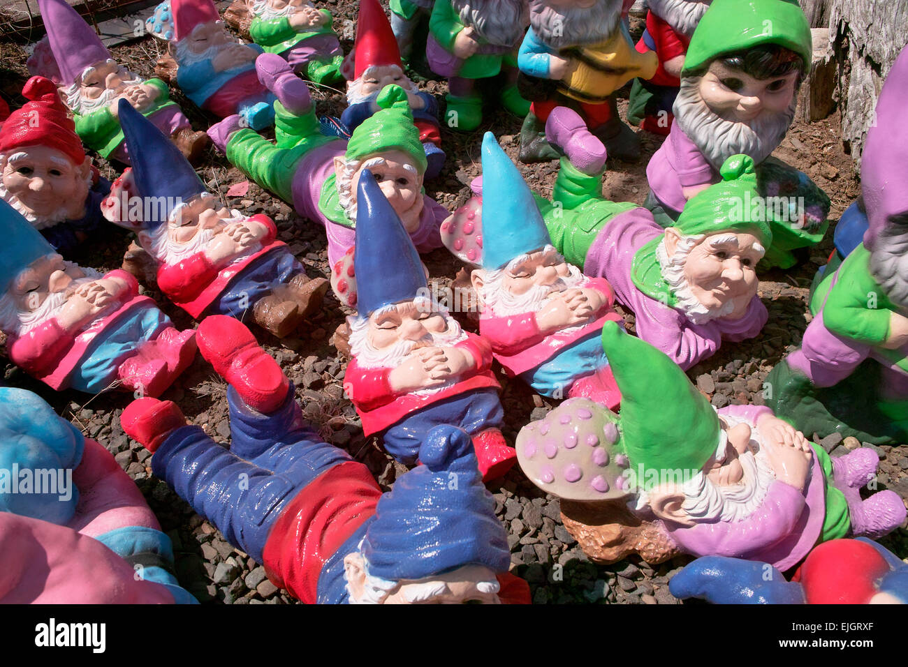 Colourful gnomes hi-res stock photography and images - Alamy