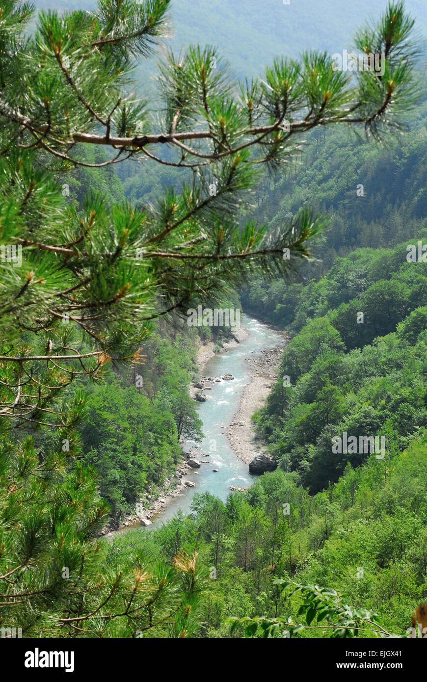 nice Durmitor mountains in central Montenegro - Balkan Stock Photo - Alamy