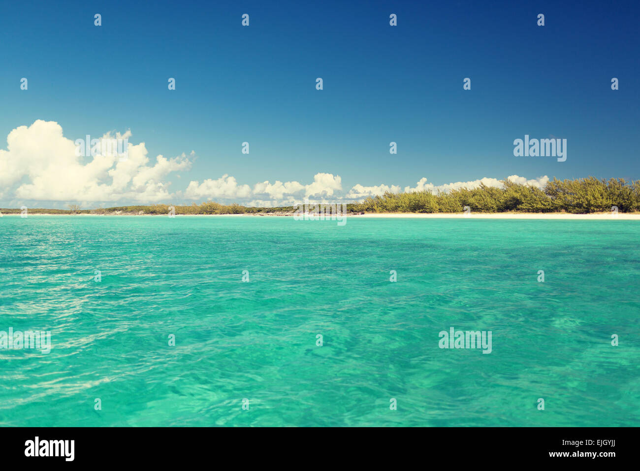 Ocean forest hi-res stock photography and images - Alamy