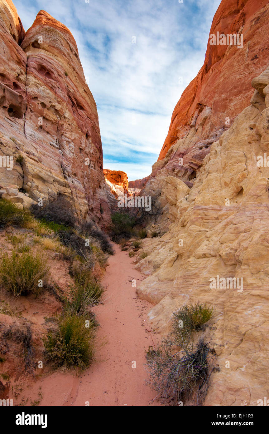 Mojave desert ravine red sandstone hi-res stock photography and images ...