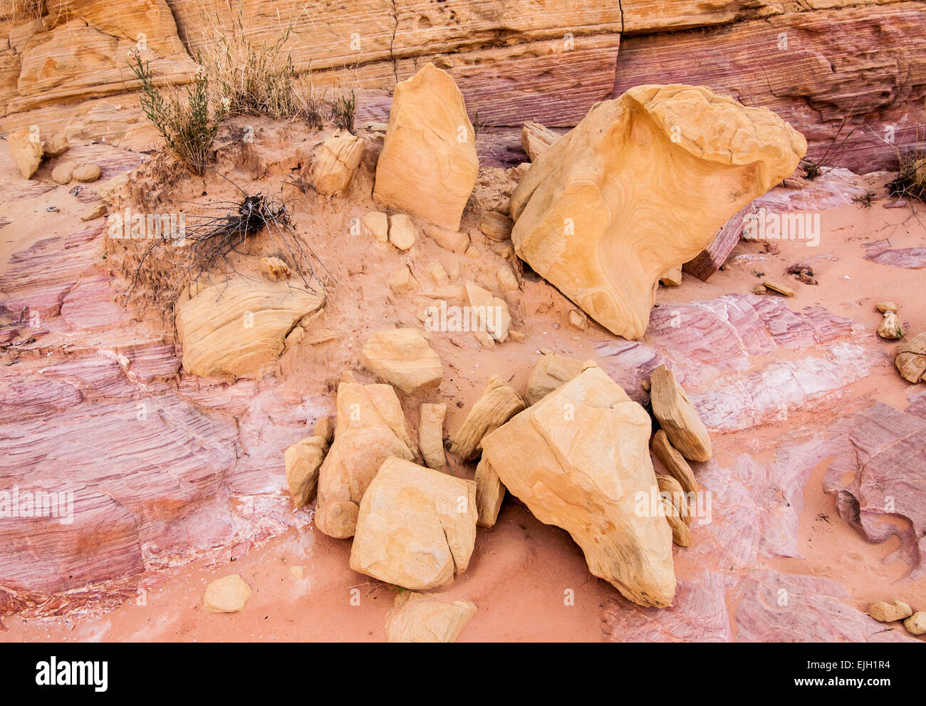 Colorful Sandstone Wash - Valley Of Fire - Nevada Stock Photo - Alamy