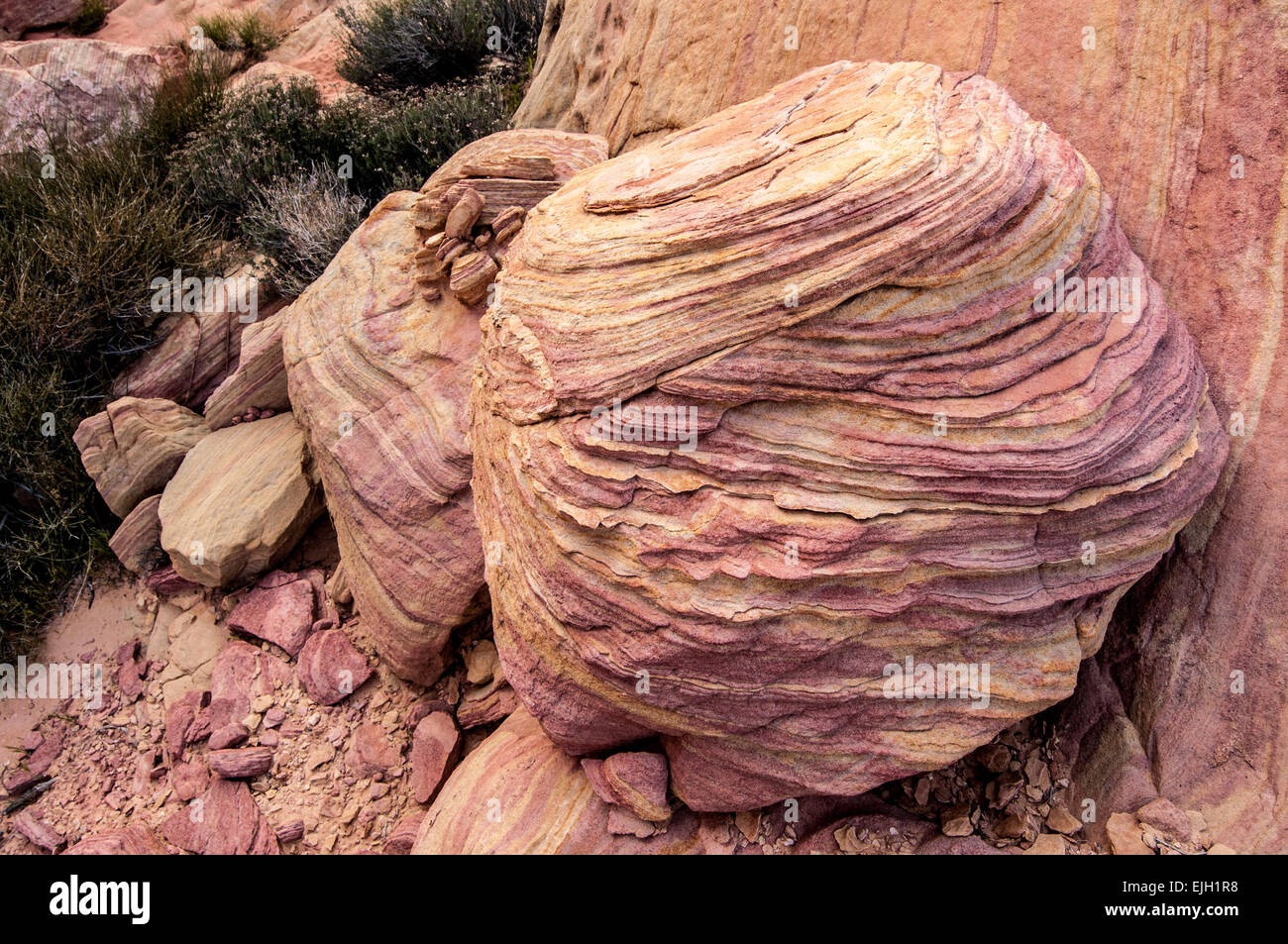 Colorful Sandstone Wash - Valley Of Fire - Nevada Stock Photo - Alamy
