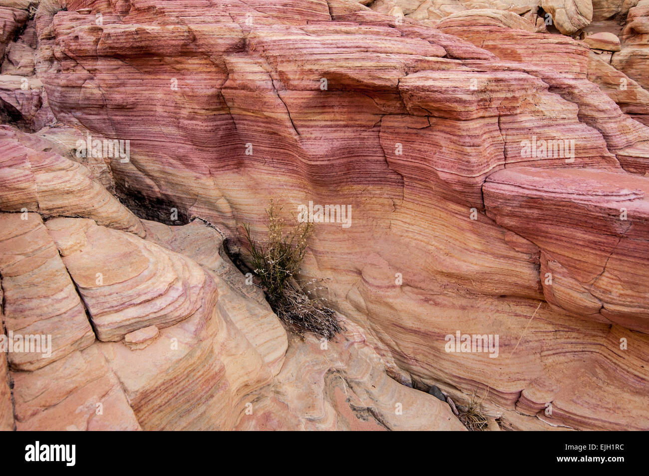 Colorful Sandstone Wash - Valley Of Fire - Nevada Stock Photo - Alamy