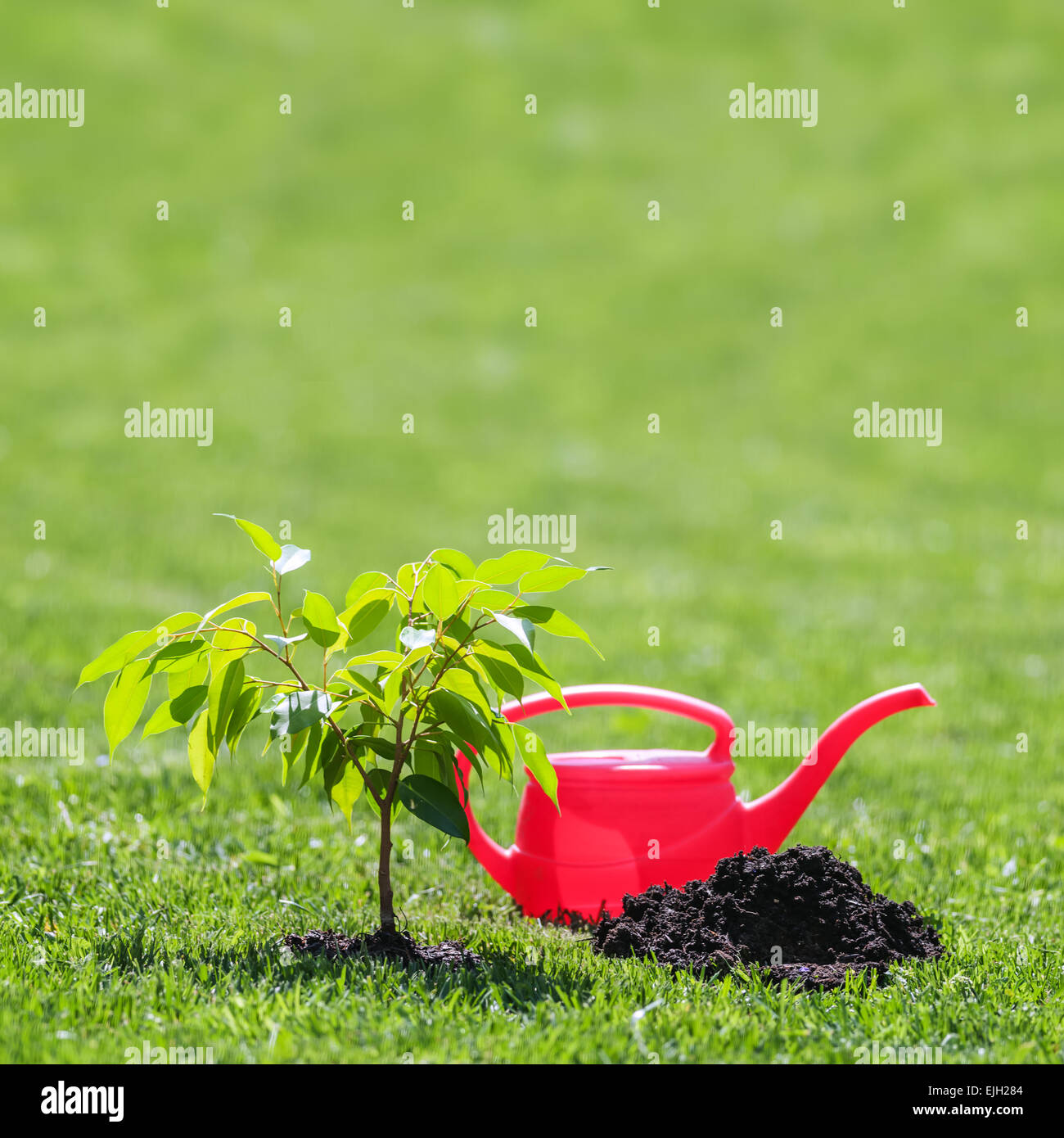 Red watering can hi-res stock photography and images - Alamy