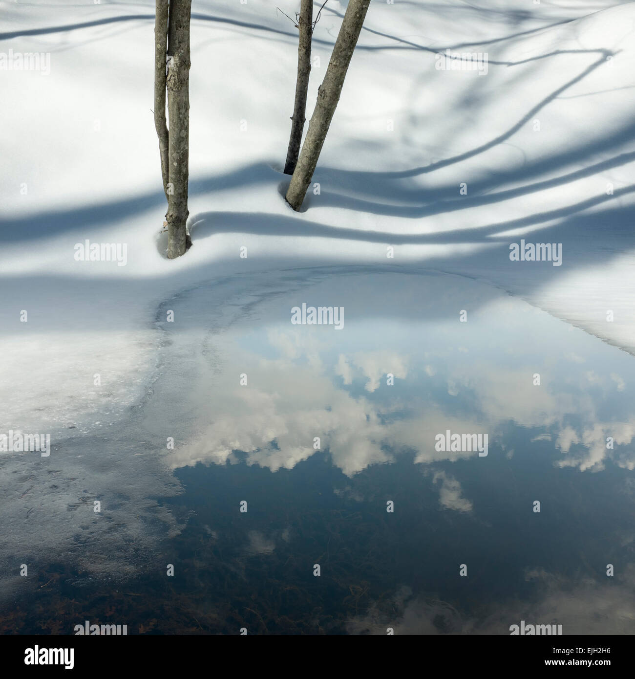 Water snow trees shadows hi-res stock photography and images - Alamy