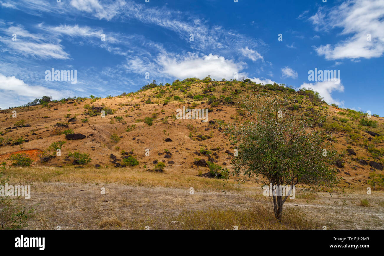 Mountain near Karasabai, Rupununi, Guyana Stock Photo - Alamy