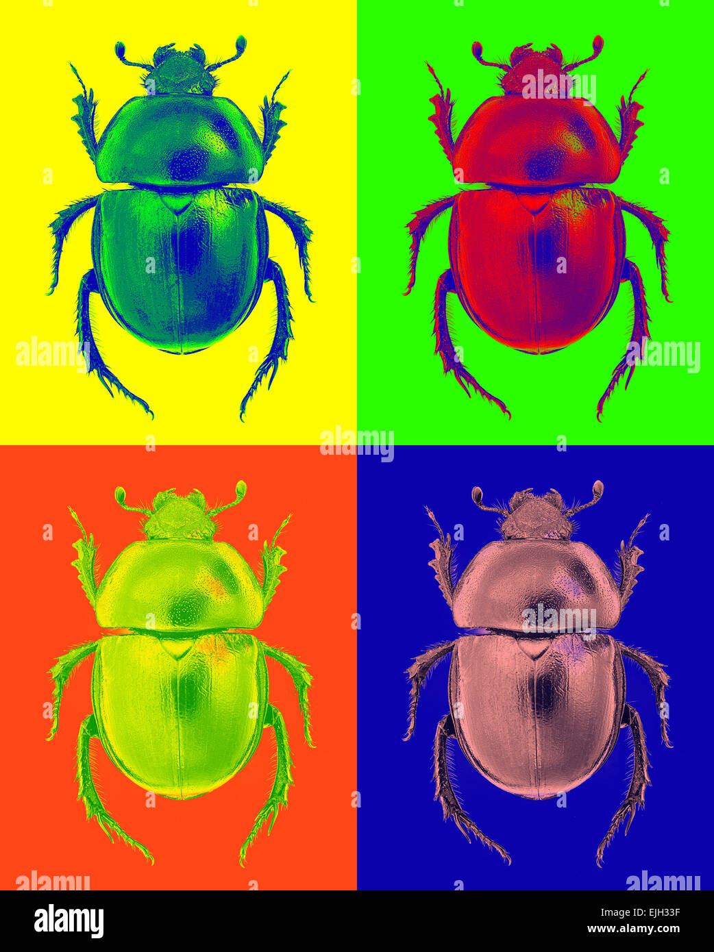 Abstract beetle in pop-art style Stock Photo - Alamy