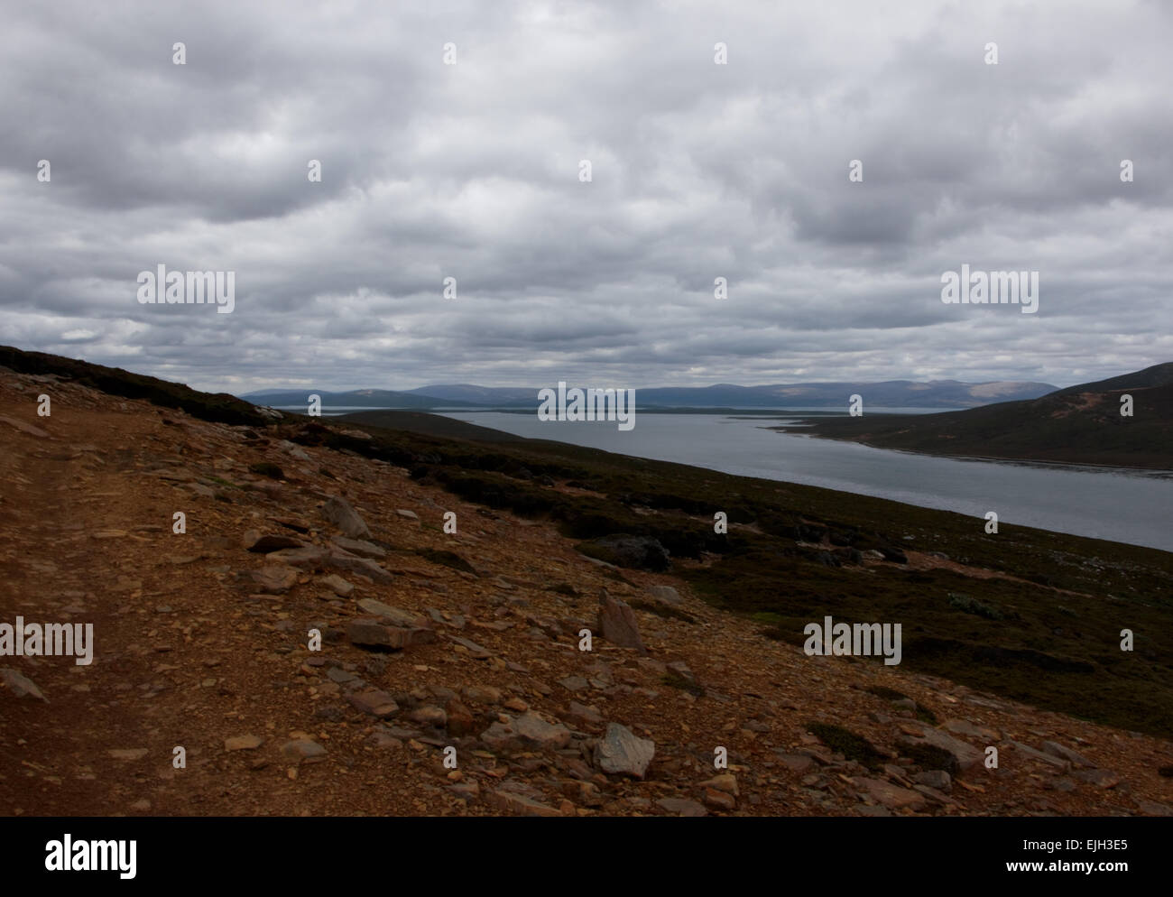 View of Saunders Island Stock Photo - Alamy