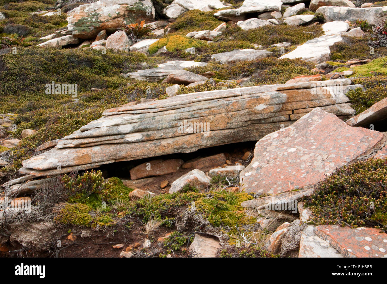 View of Saunders Island Stock Photo - Alamy