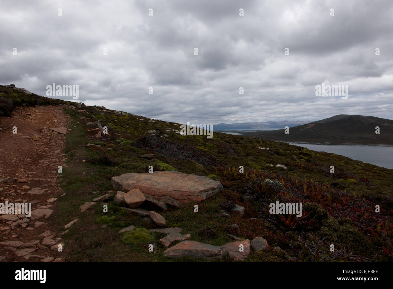 View of Saunders Island Stock Photo - Alamy