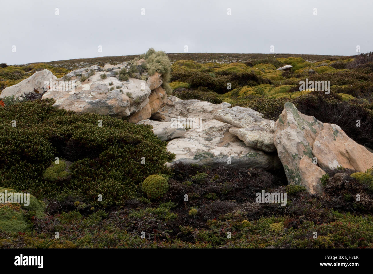 View of Saunders Island Stock Photo - Alamy