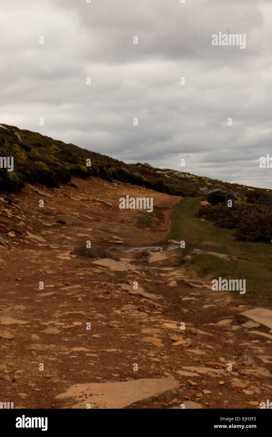 View of Saunders Island Stock Photo - Alamy