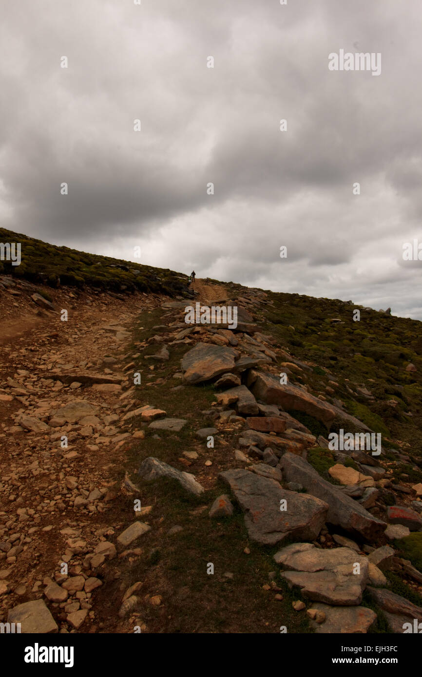 View of Saunders Island Stock Photo - Alamy