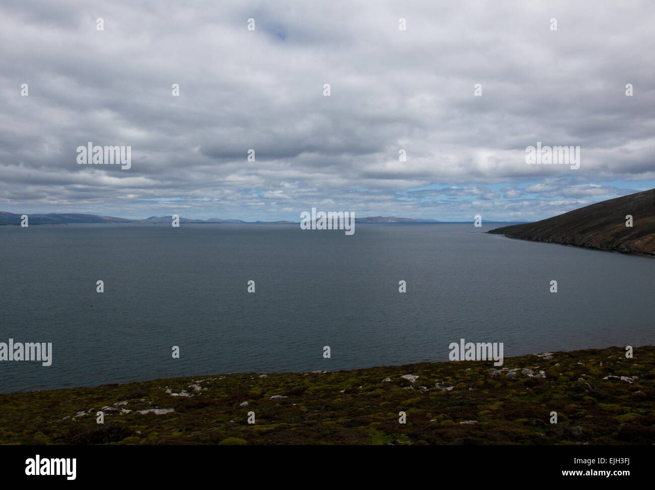 View of Saunders Island Stock Photo - Alamy