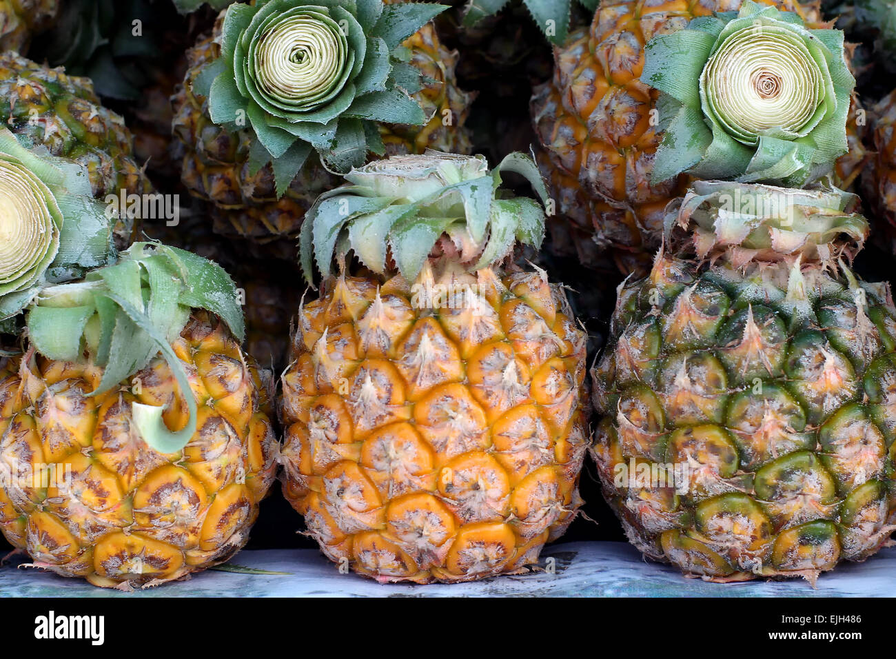 Pineapple farm thailand hi-res stock photography and images - Alamy