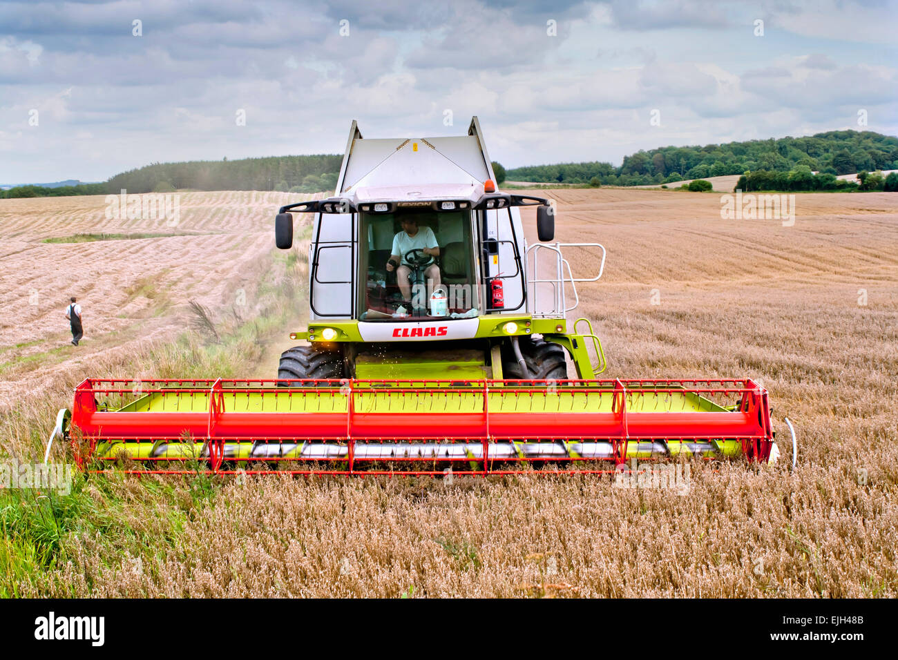 A Claas Combine Harvesting Grain Stock Photo - Alamy