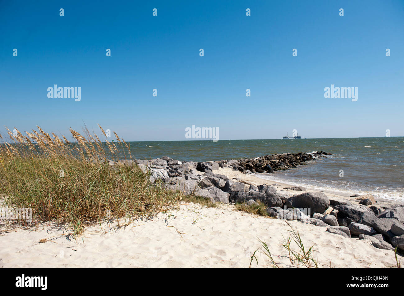 Jetty and sea grass along the shoreline in Dauphin Island Alabama Stock ...