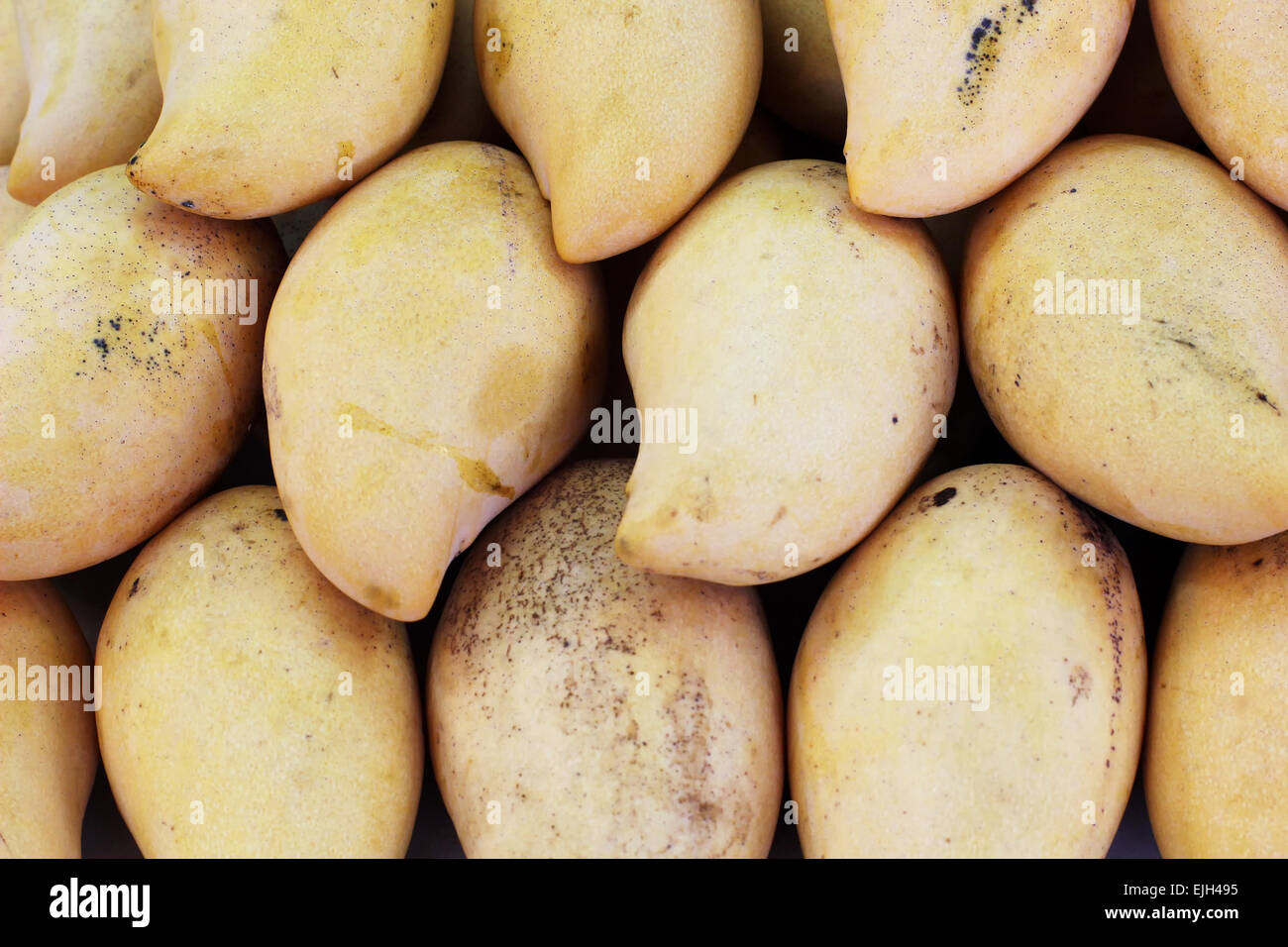 Sweet mango at fruit market Stock Photo - Alamy
