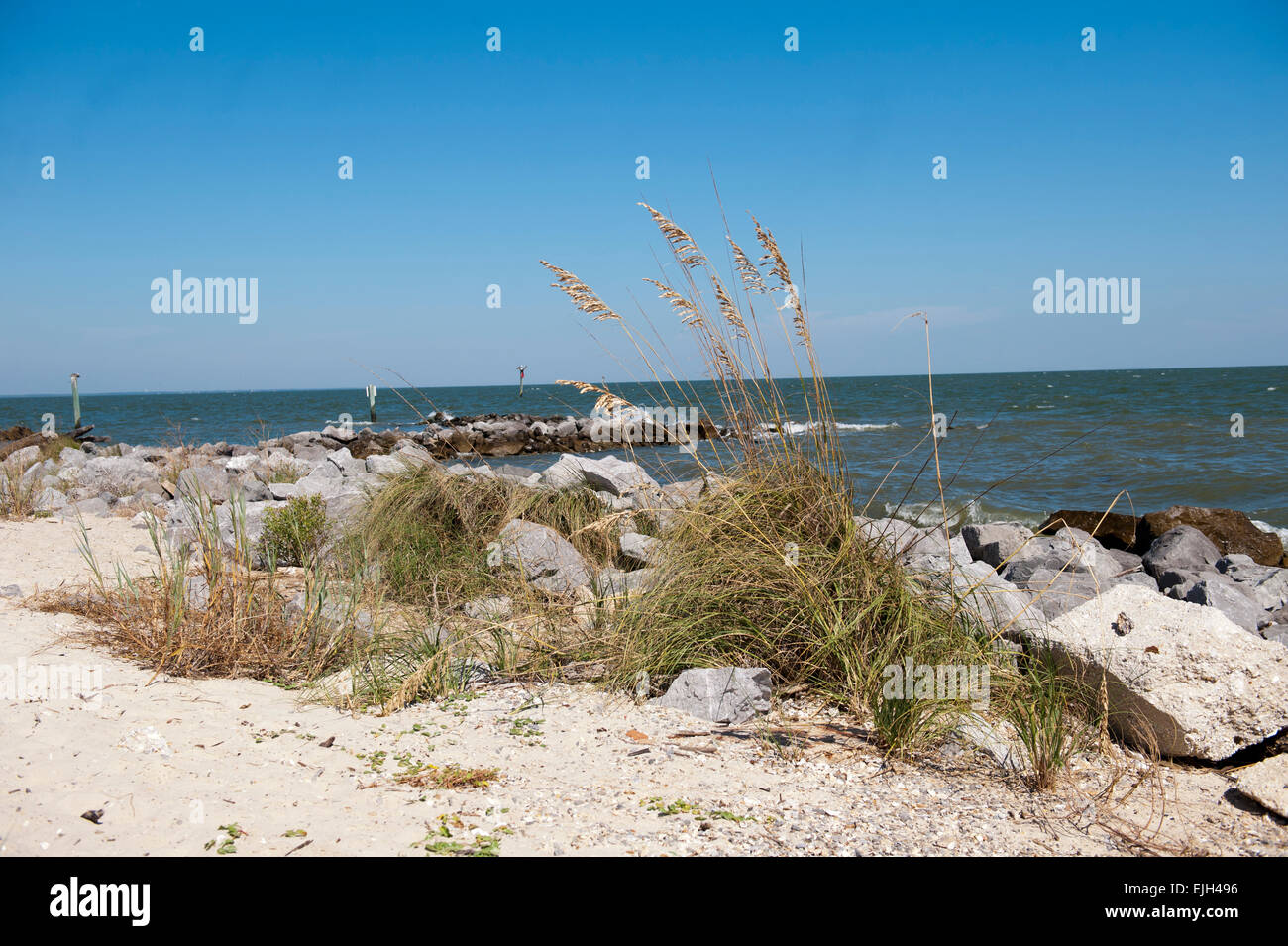 Jetty and sea grass along the shoreline in Dauphin Island Alabama Stock ...