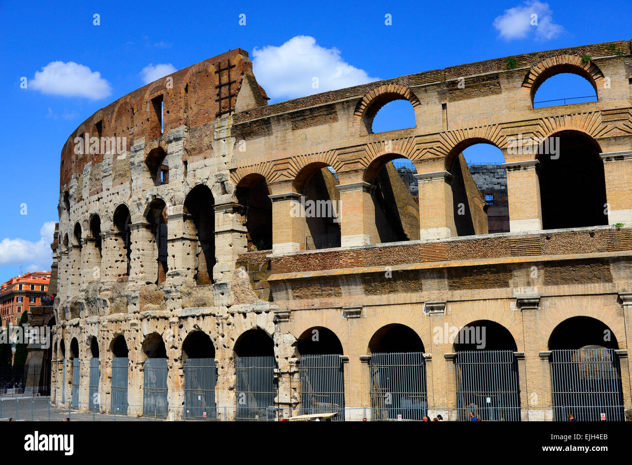 Colosseum rome coliseum plan hi-res stock photography and images - Alamy