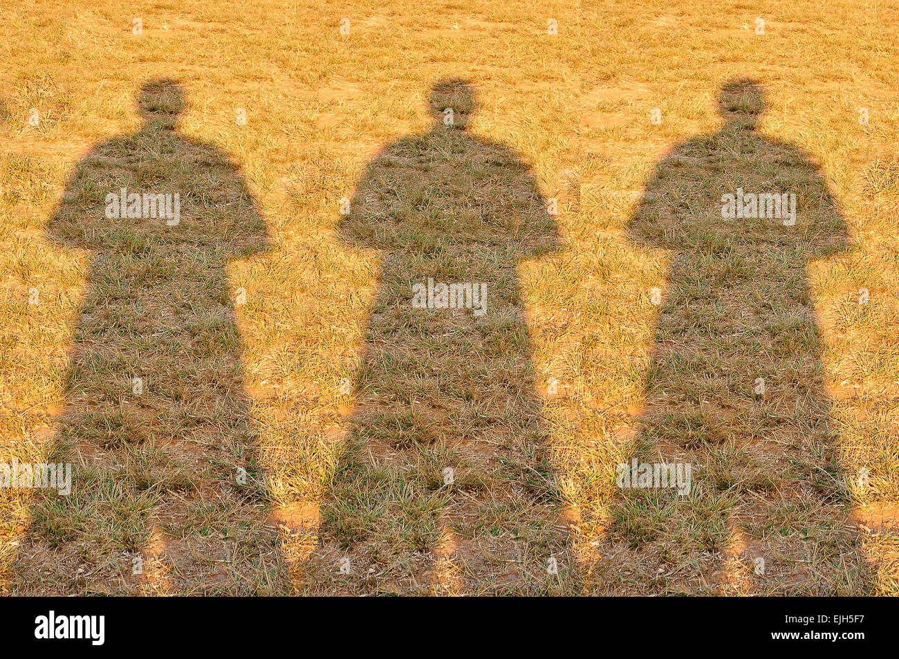 Backdrop photographer hi-res stock photography and images - Alamy