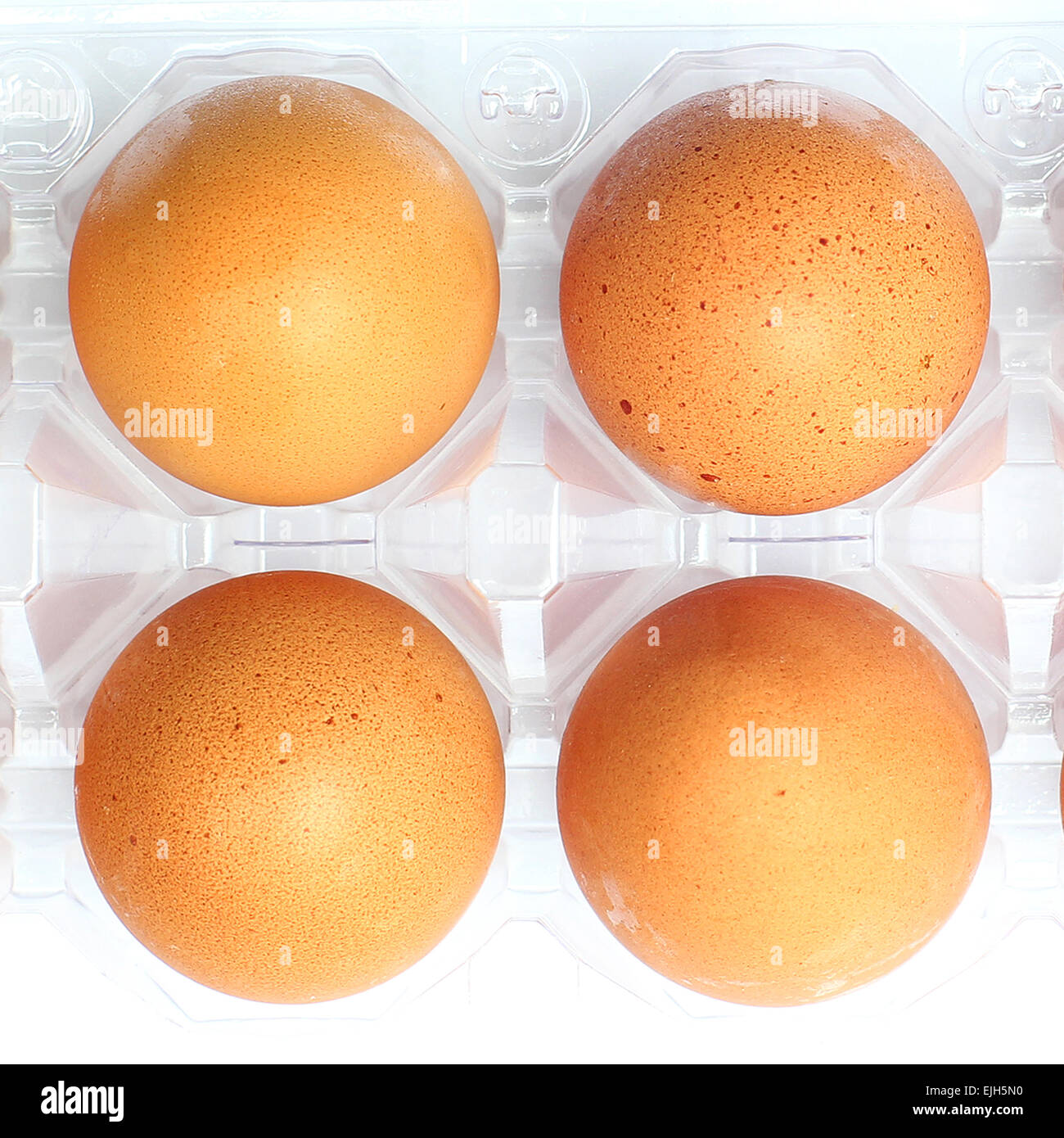 Top view of egg on white background Stock Photo - Alamy