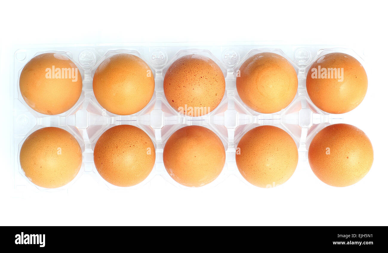 Top view of egg on white background Stock Photo - Alamy