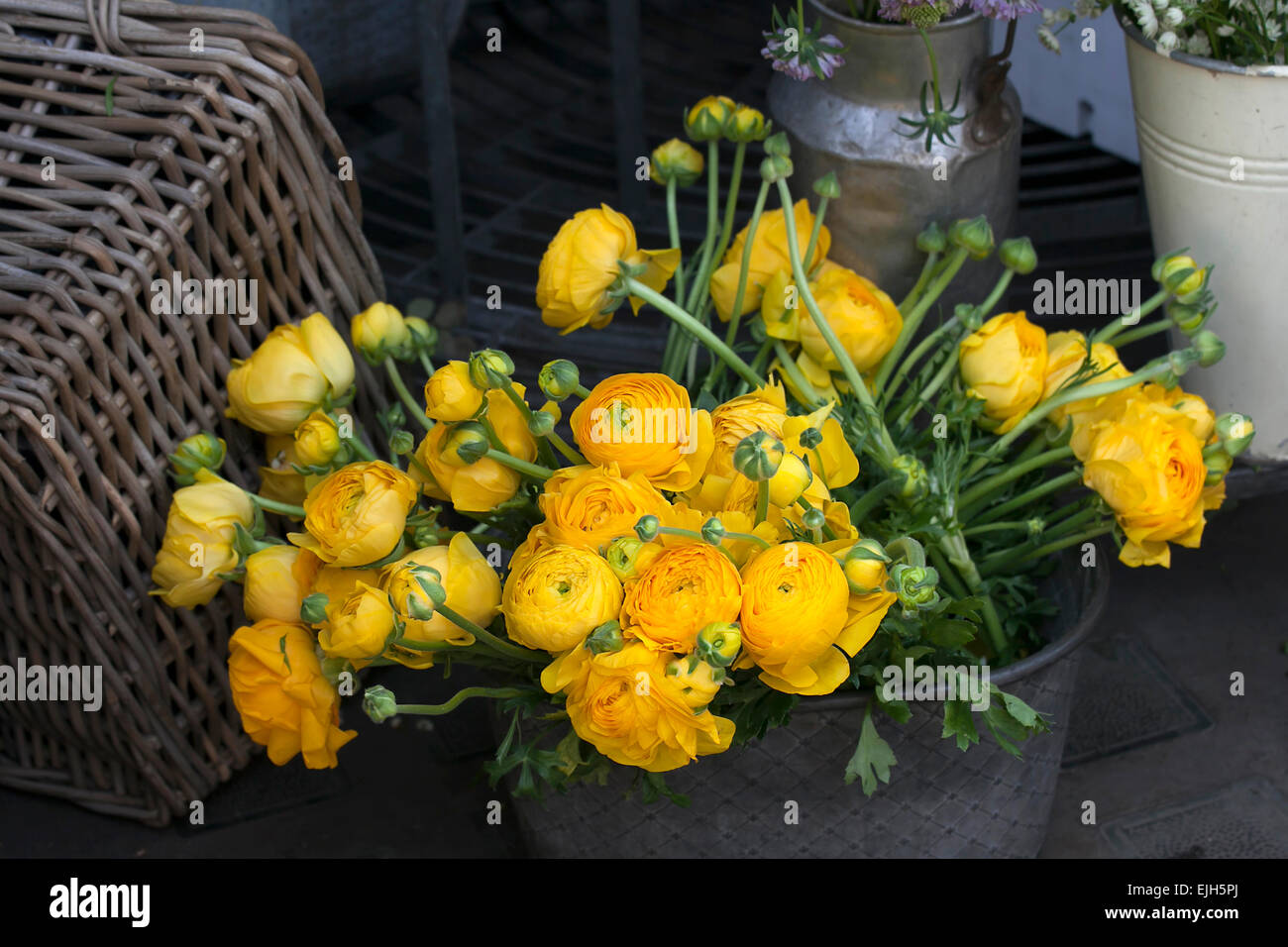 Persian butter hi-res stock photography and images - Alamy