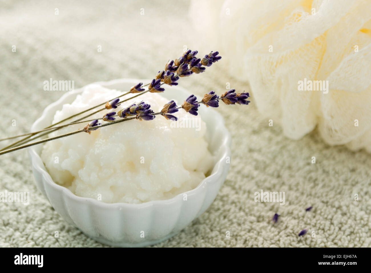 Pampering treatments hi-res stock photography and images - Alamy