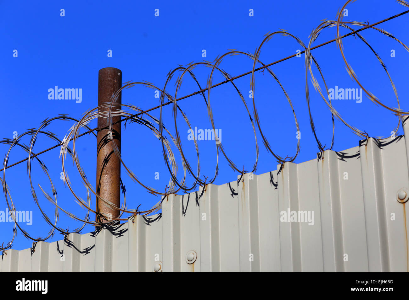 barbed razor wire on top of a metal fence Stock Photo - Alamy