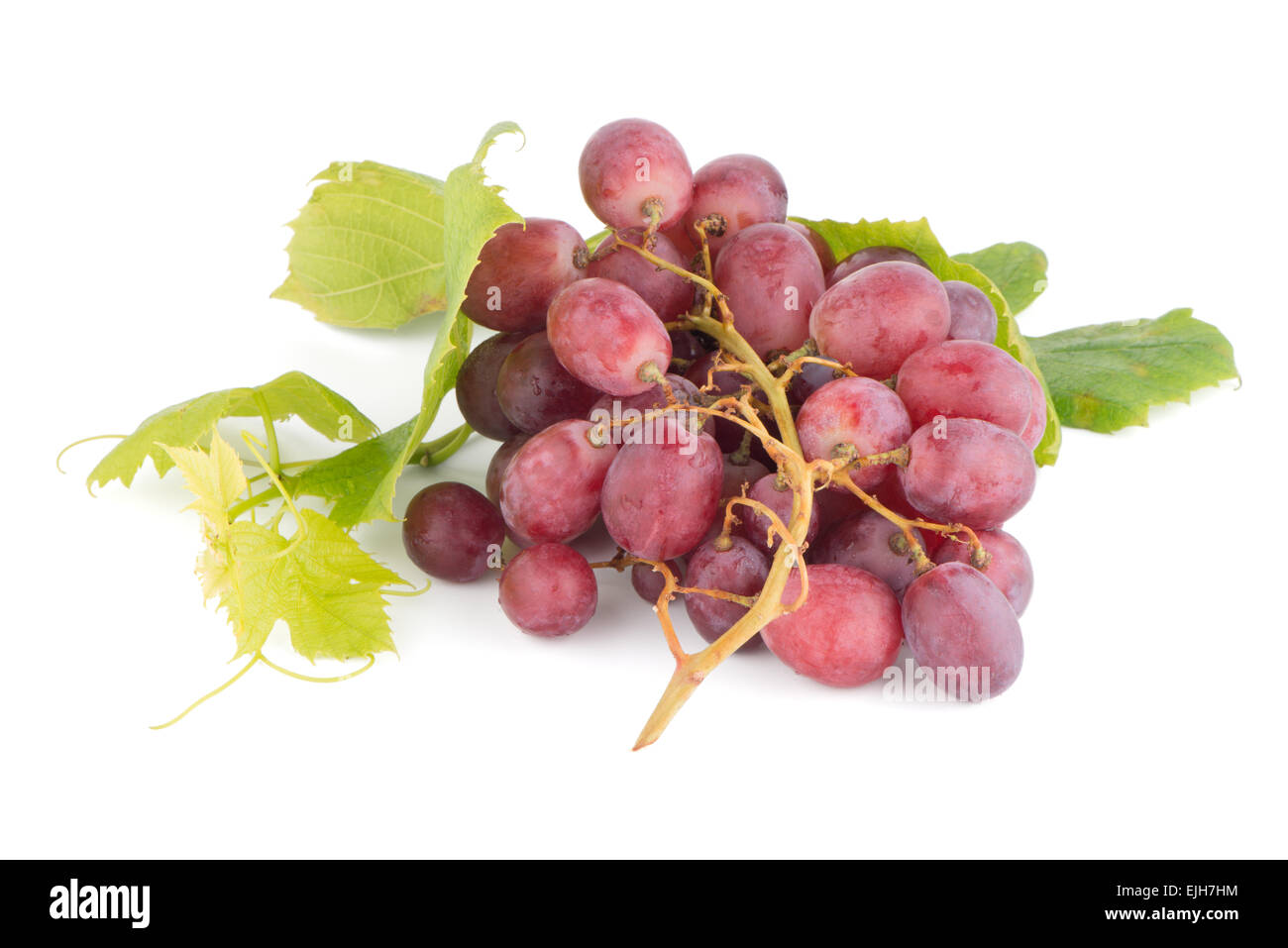 Bunch of red grapes , fresh with water drops. Isolated on white ...