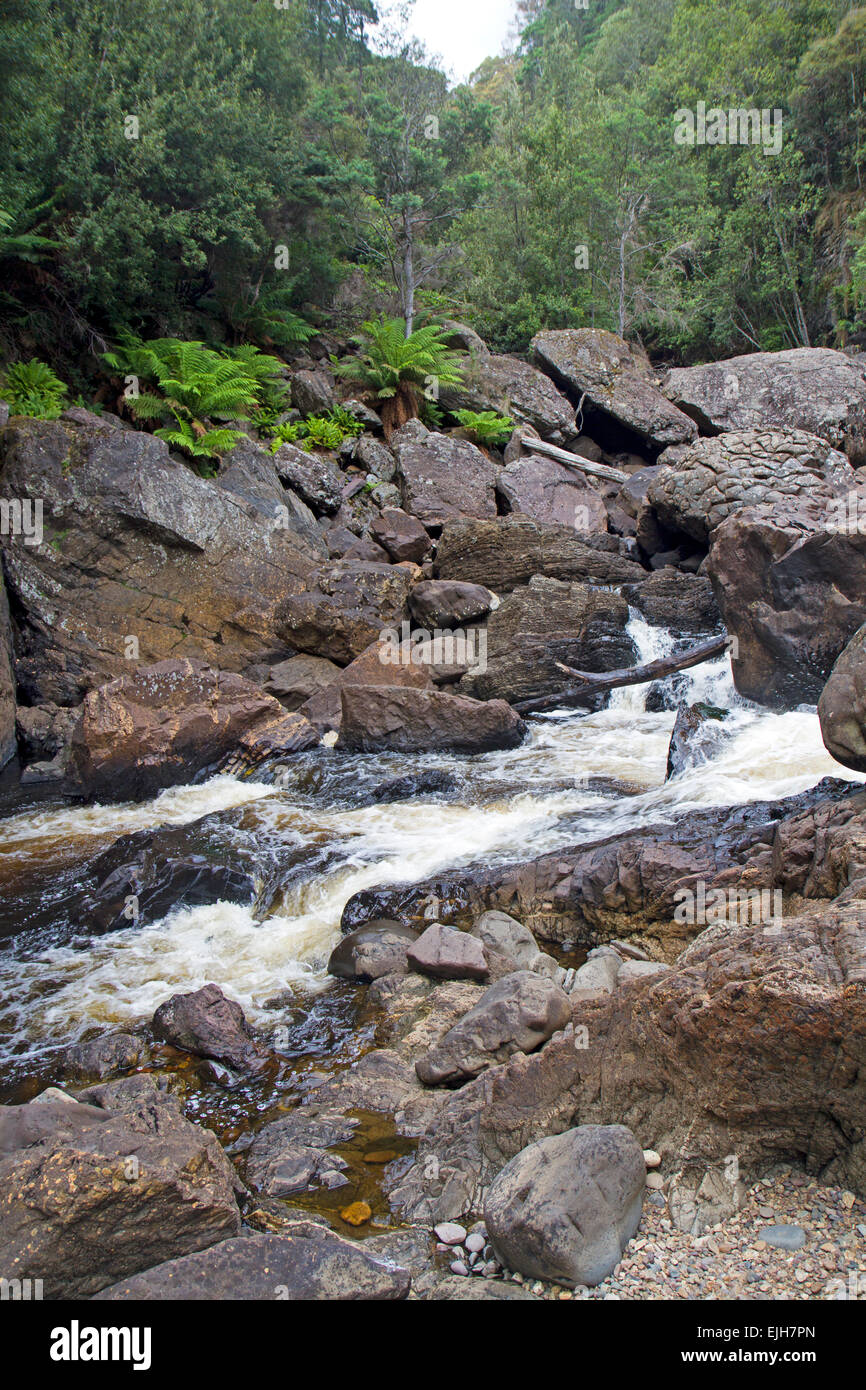 Northern tasmania hi-res stock photography and images - Alamy
