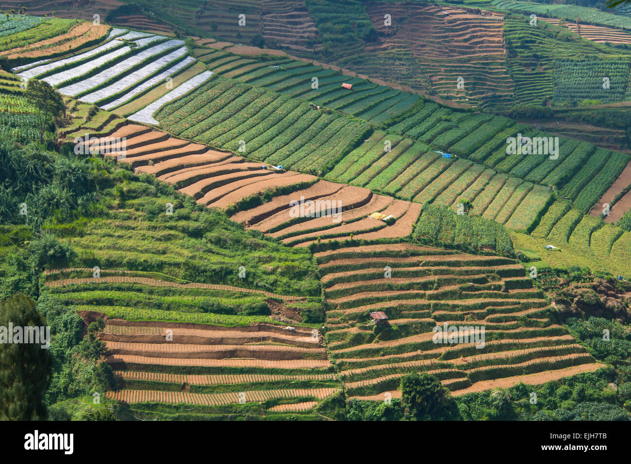 Valley mountain hi-res stock photography and images - Alamy