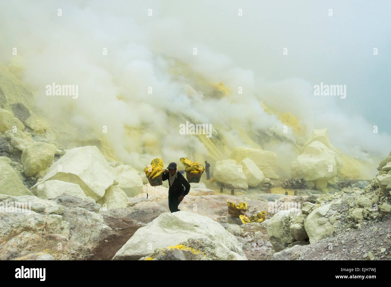 Miners carrying sulfur amid sulfur gas, Ijen volcano, East Java ...