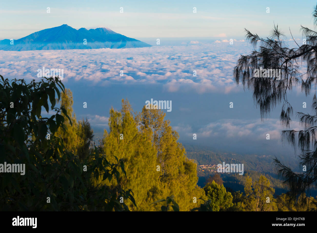 Mountain in Bromo Tengger Semeru National Park, East Java, Indonesia ...
