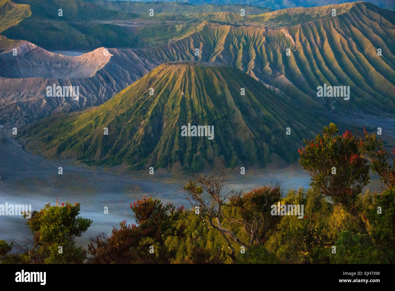 Mount Bromo and Batok at dawn, Bromo Tengger Semeru National Park, East ...